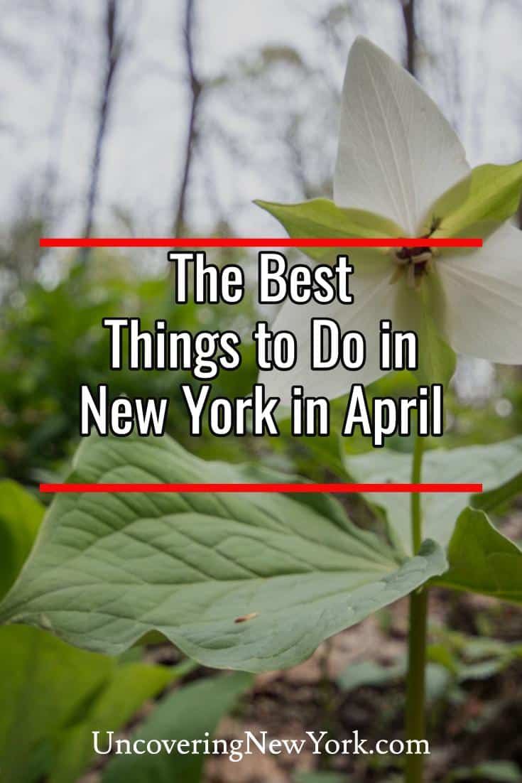 9 Great Things to Do in New York in April - Uncovering New York