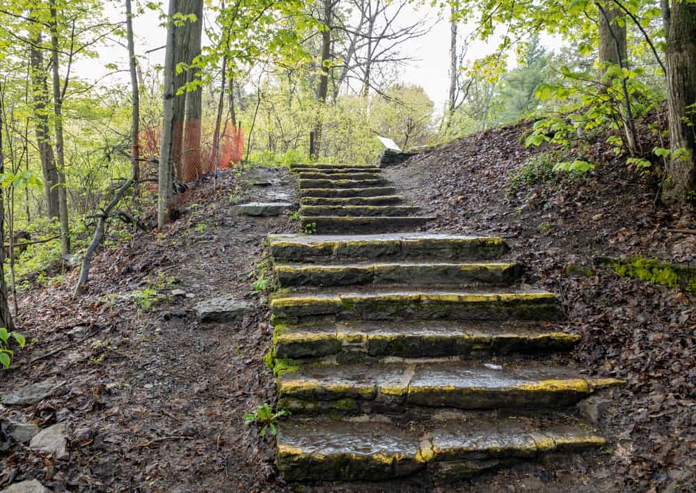 How to Get to Chittenango Falls in Chittenango Falls State Park ...