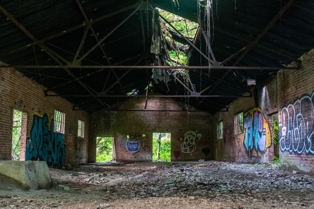 Hiking to the Abandoned Ruins and River Trails at Dennings Point ...