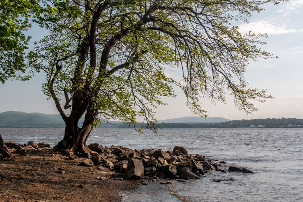 Hiking to the Abandoned Ruins and River Trails at Dennings Point ...