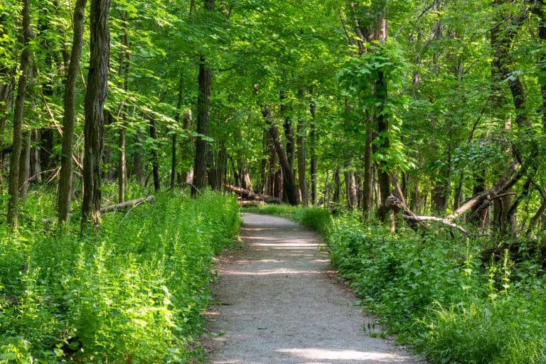 Hiking to the Abandoned Ruins and River Trails at Dennings Point ...