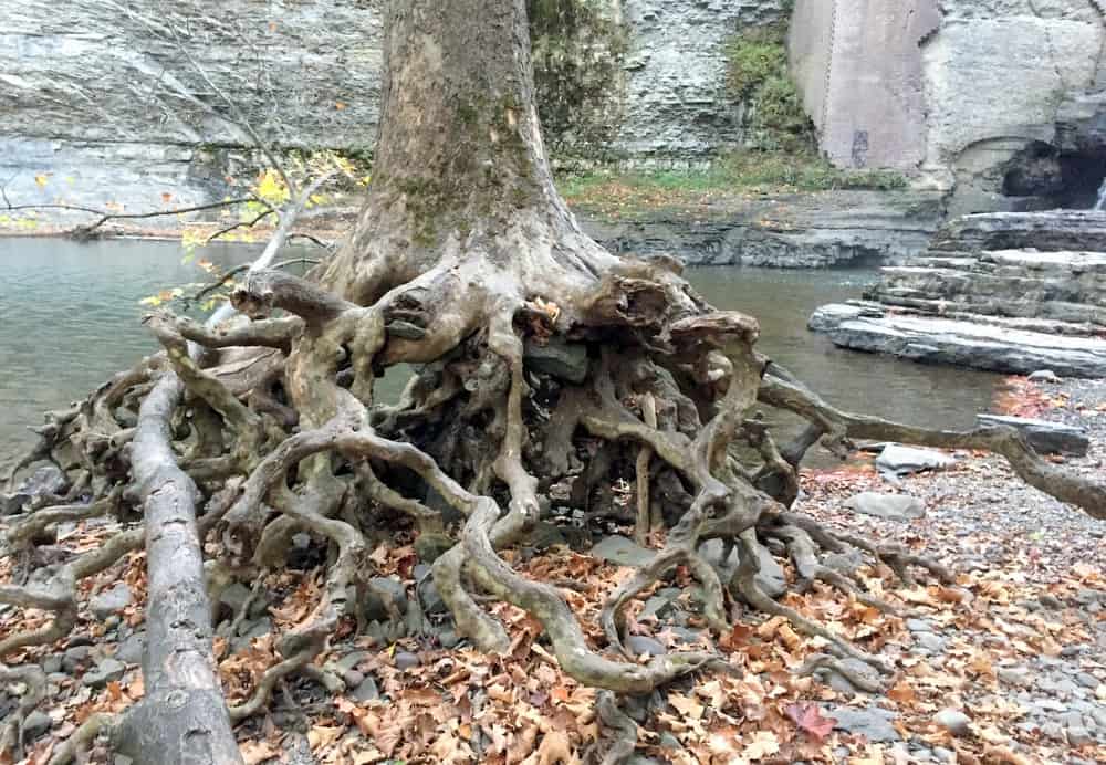 How to Get to Wells Falls in Ithaca, NY - Uncovering New York
