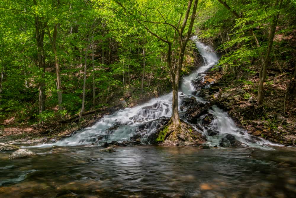 Hiking to the Beautiful Waterfalls at High Falls Conservation Area in ...