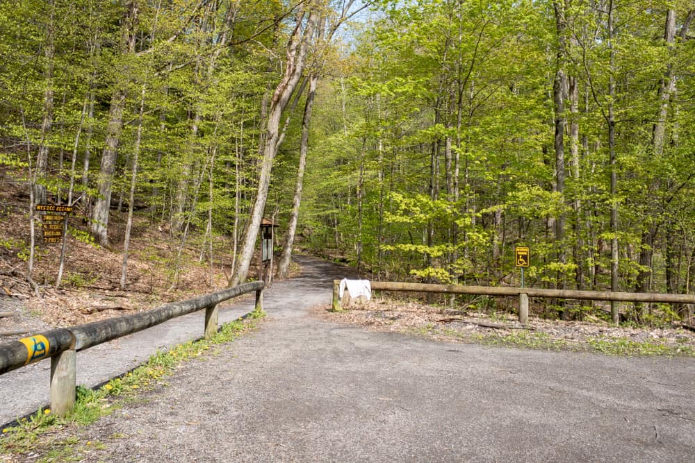 How to Get to Tinkers Falls in the Labrador Hollow Unique Area ...