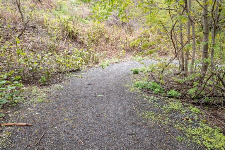 How to Get to Wolcott Falls Park in Wolcott, New York - Uncovering New York