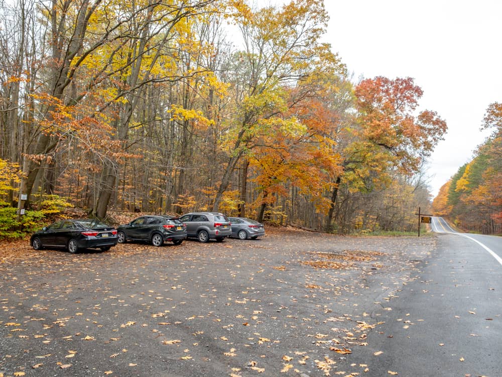 How to Get to Tinkers Falls in the Labrador Hollow Unique Area ...