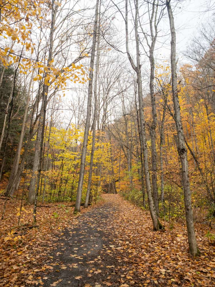 How to Get to Tinkers Falls in the Labrador Hollow Unique Area ...