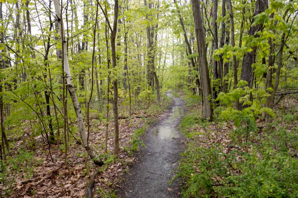 How to Get to Barberville Falls in Rensselaer County - Uncovering New York