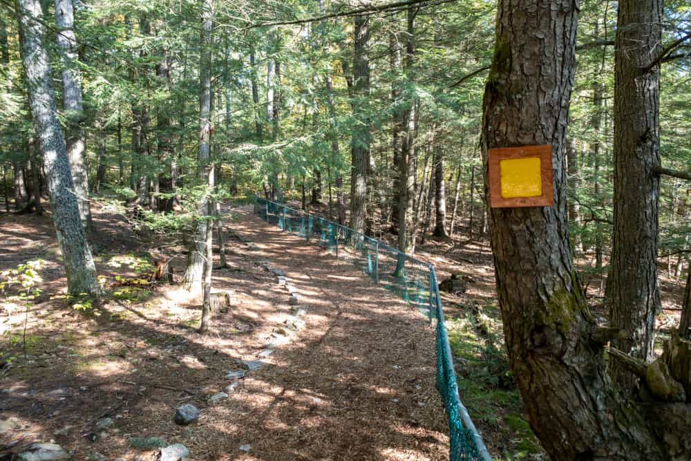 Ausable Chasm: Hiking the Grand Canyon of the Adirondacks - Uncovering ...