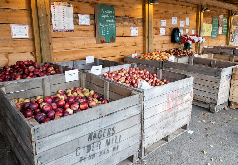 Autumn Fun at Burrville Cider Mill and Its Waterfall - Uncovering New York