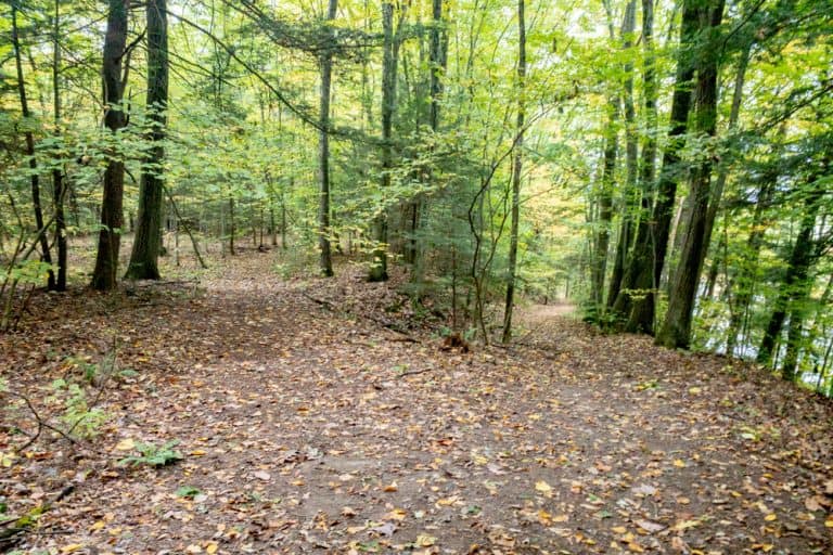 How to Get to Dionondahowa Falls in Washington County, New York ...