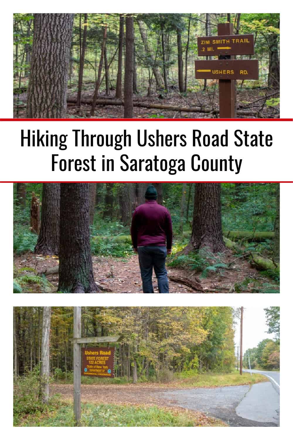 Hiking Through Ushers Road State Forest in Saratoga County - Uncovering ...