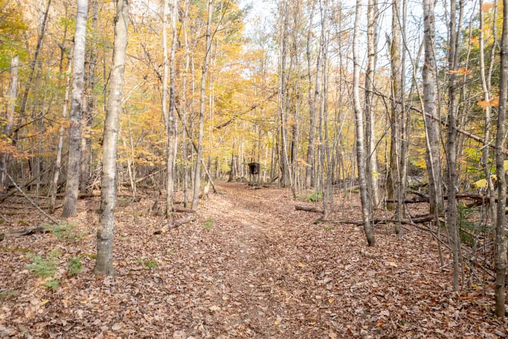 How to Get to Roaring Brook Falls in the Adirondacks - Uncovering New York