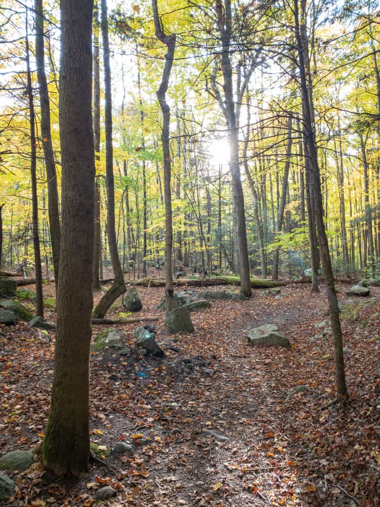 How to Get to Roaring Brook Falls in the Adirondacks - Uncovering New York