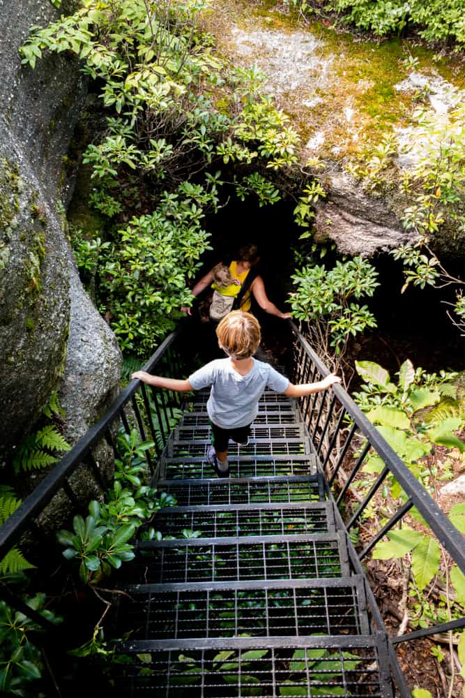 Exploring the Beautiful Rock City Park Near Olean, NY - Uncovering New York