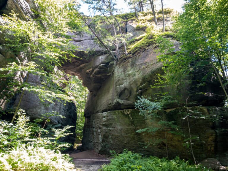 Exploring the Beautiful Rock City Park Near Olean, NY - Uncovering New York