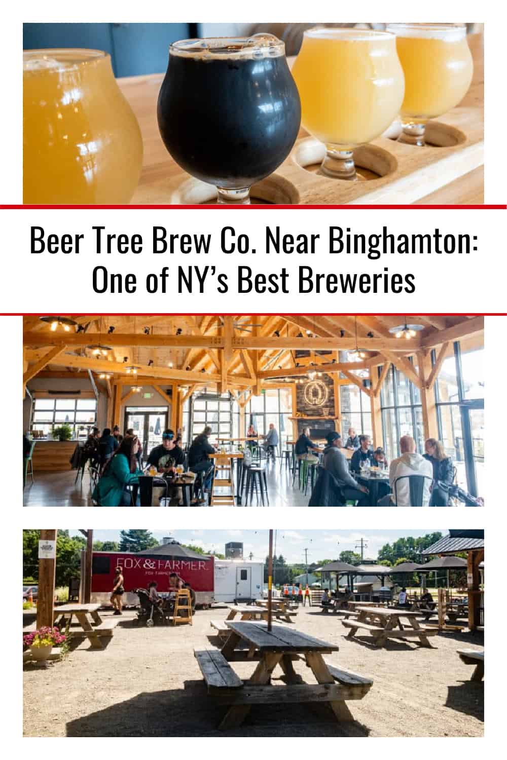 Beer Tree Brew Co. Near Binghamton: One of New York's Best Breweries ...