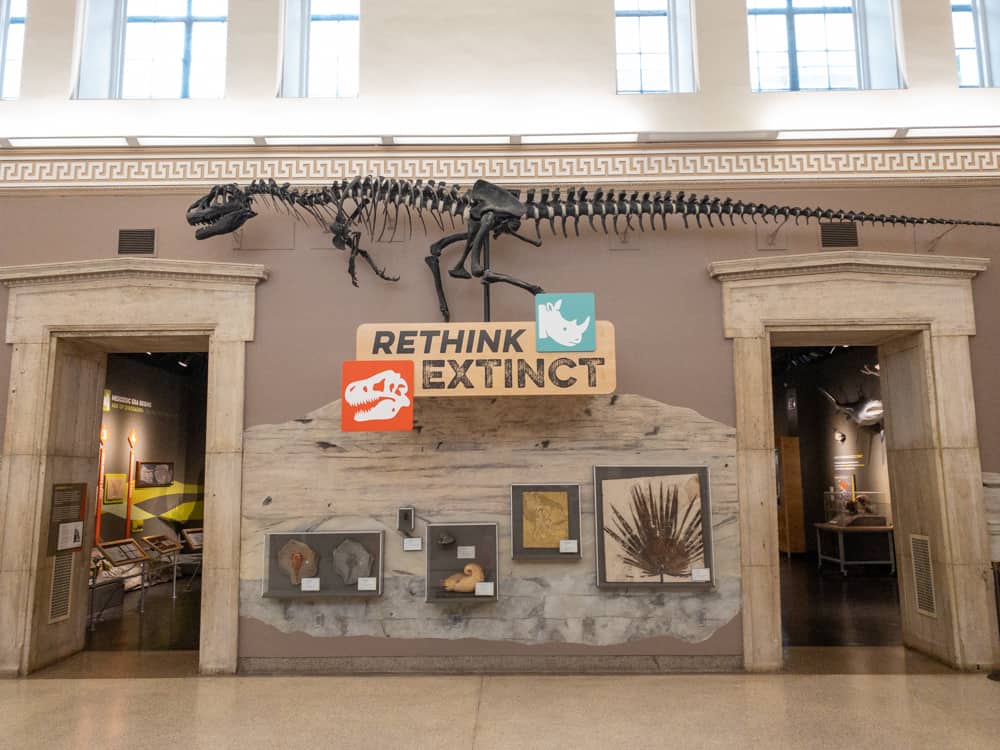 What It's Like to Visit the Buffalo Museum of Science - Uncovering New York