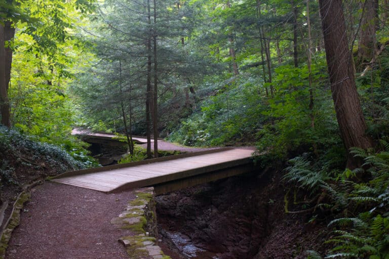 Hiking at Root Glen at Hamilton College in Oneida County - Uncovering ...