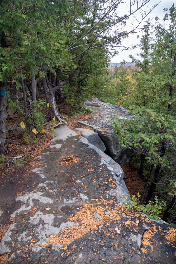 Hiking Through the Wondrous Clark Reservation State Park Near Syracuse ...