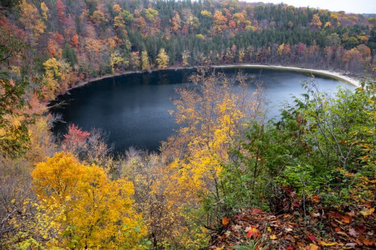 Hiking Through the Wondrous Clark Reservation State Park Near Syracuse ...