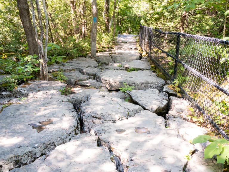 Hiking Through the Wondrous Clark Reservation State Park Near Syracuse ...