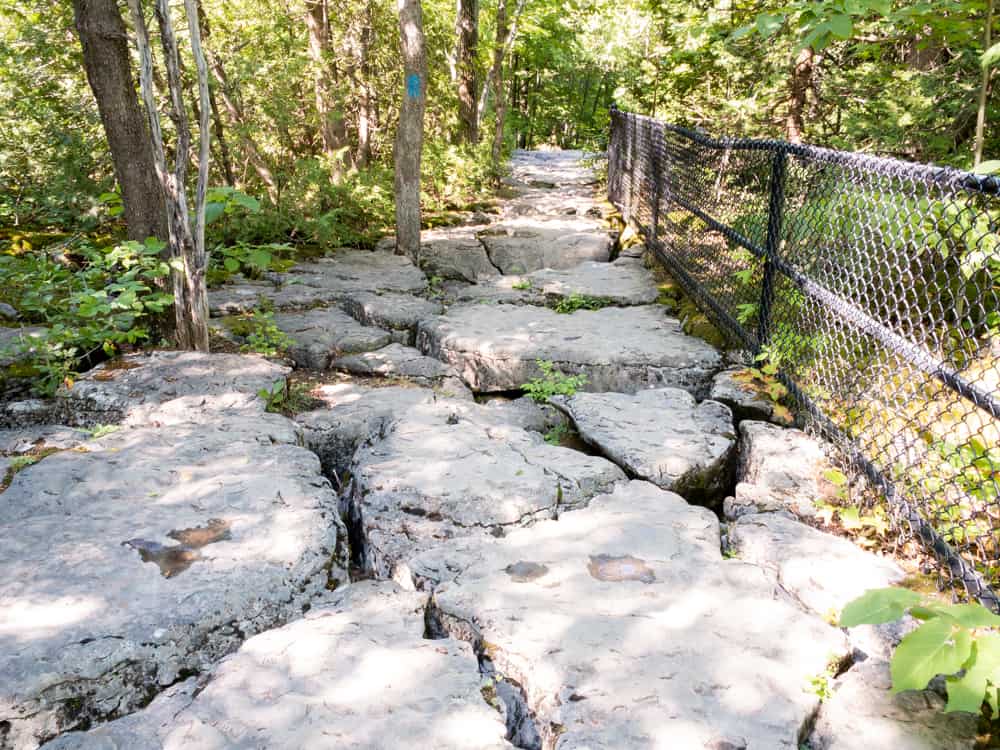Hiking Through the Wondrous Clark Reservation State Park Near Syracuse ...