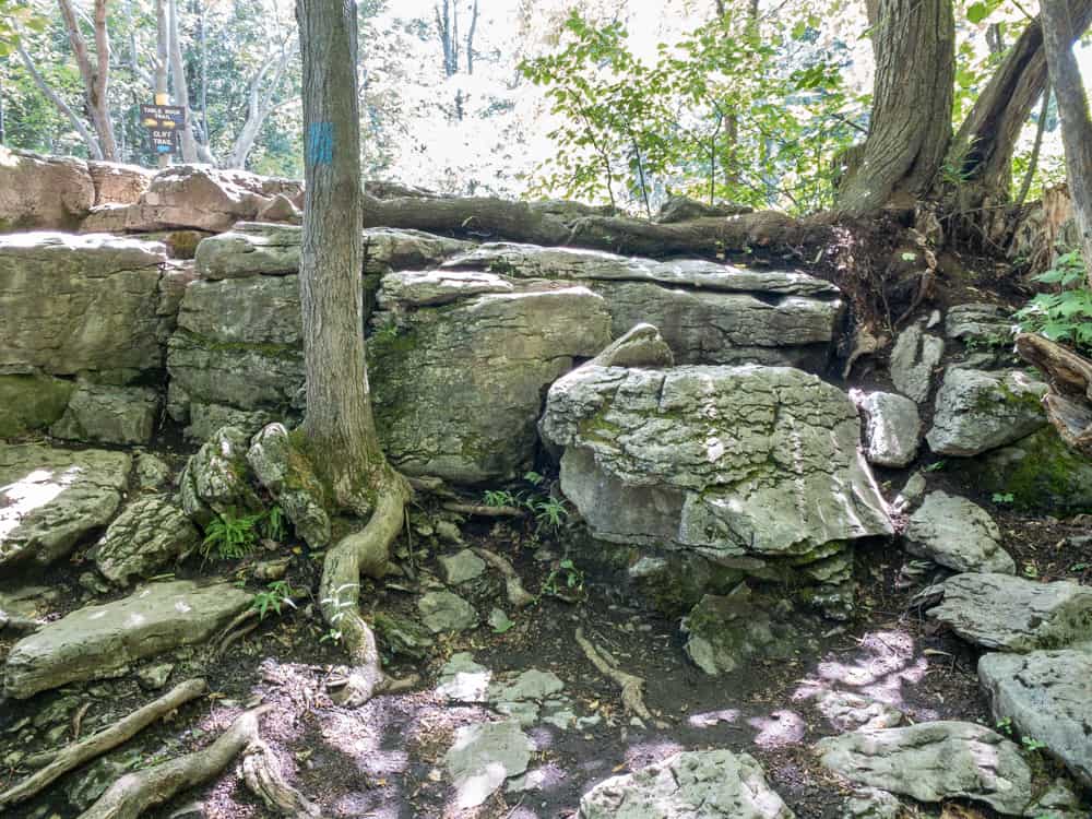 Hiking Through the Wondrous Clark Reservation State Park Near Syracuse ...
