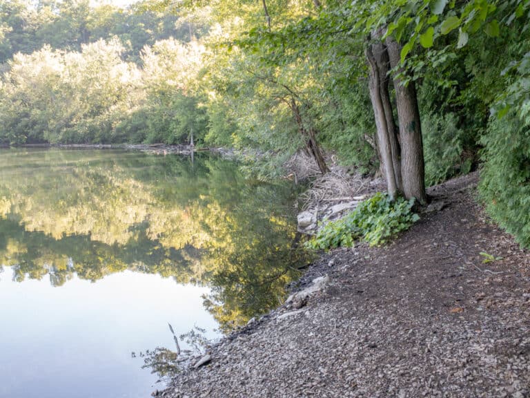 Hiking Through the Wondrous Clark Reservation State Park Near Syracuse ...