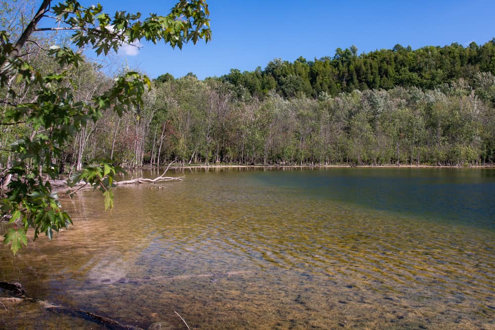 Hiking Through the Wondrous Clark Reservation State Park Near Syracuse ...