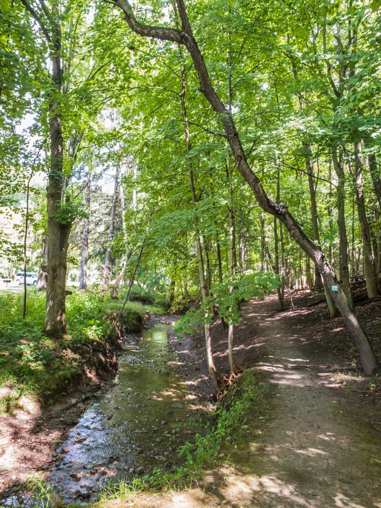 Visiting the Powder Mills Fish Hatchery near Rochester - Uncovering New ...