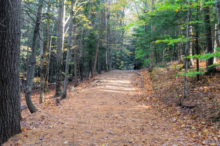 How to Get to the Wilmington Flume and Flume Falls Near Lake Placid ...