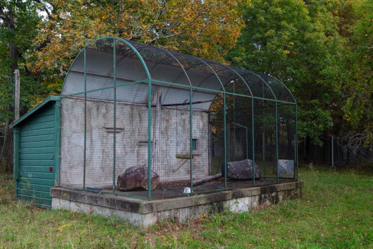 Old Catskill Game Farm: What It's Like to Explore and Stay the Night at ...