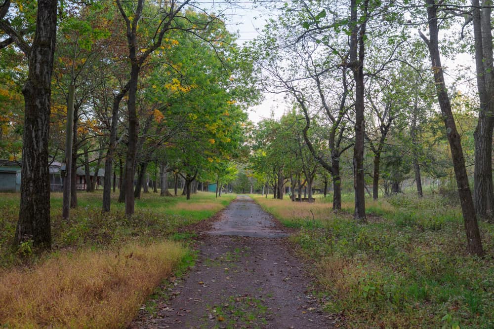 Old Catskill Game Farm: What It's Like to Explore and Stay the Night at ...