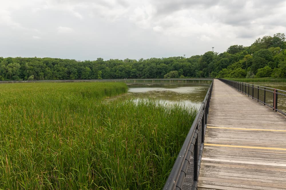 21 Amazing Things to Do in Rochester, NY - Uncovering New York