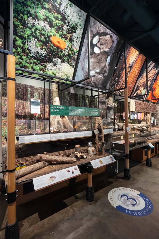 Exploring the Incredible Wild Center in Tupper Lake - Uncovering New York