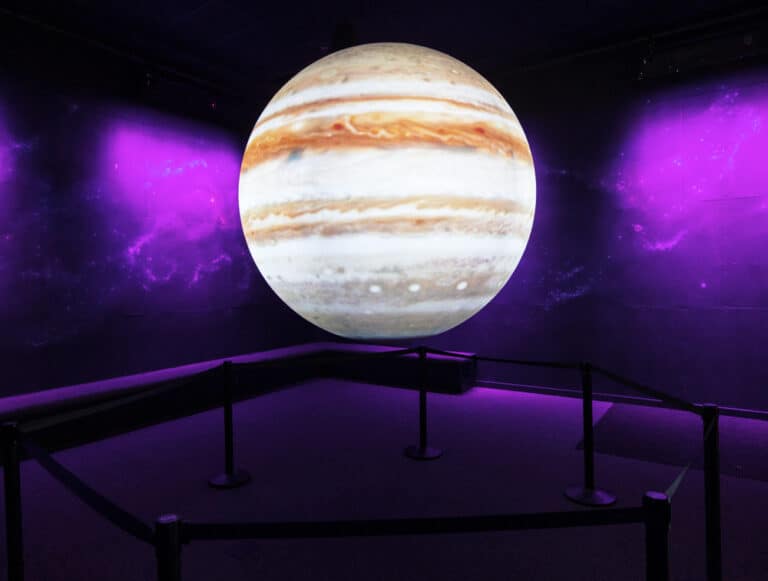 Exploring the Incredible Wild Center in Tupper Lake - Uncovering New York