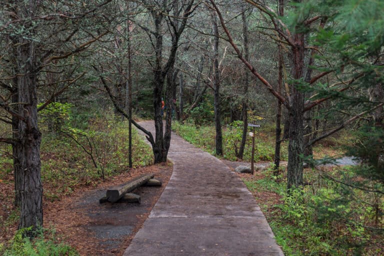 Exploring the Incredible Wild Center in Tupper Lake - Uncovering New York