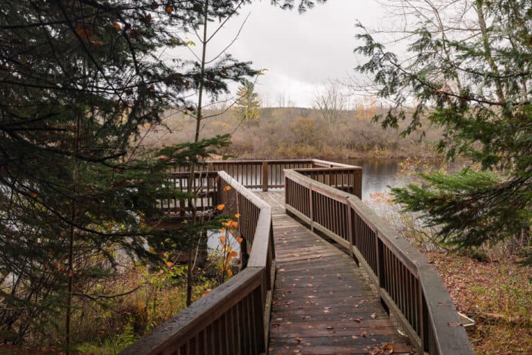 Exploring the Incredible Wild Center in Tupper Lake - Uncovering New York