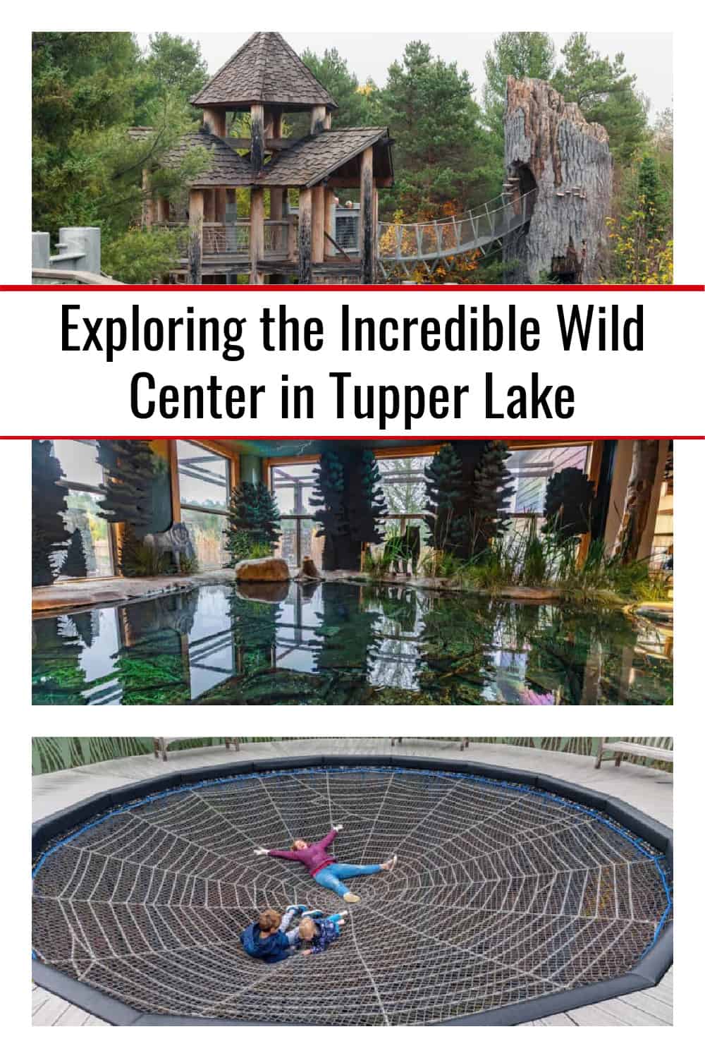 Exploring the Incredible Wild Center in Tupper Lake - Uncovering New York