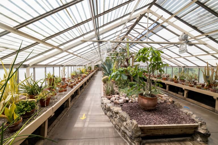 Visiting the Buffalo and Erie County Botanical Gardens in Erie County ...