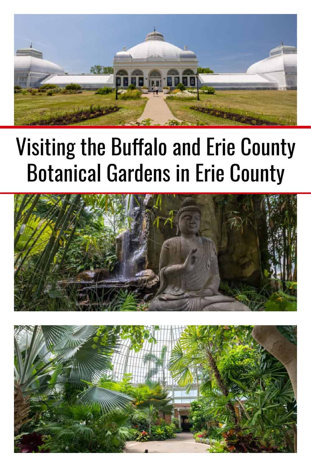 Visiting the Buffalo and Erie County Botanical Gardens in Erie County ...