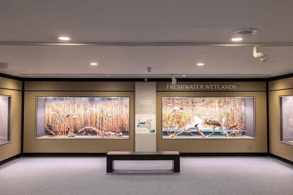 Exploring the Incredible New York State Museum in Albany - Uncovering ...