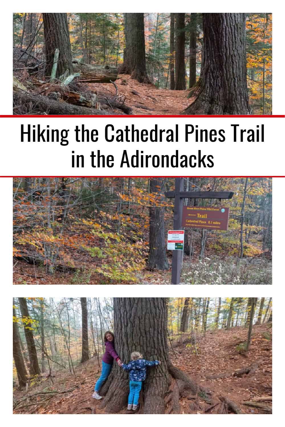 Hiking the Cathedral Pines Trail in the Adirondacks - Uncovering New York