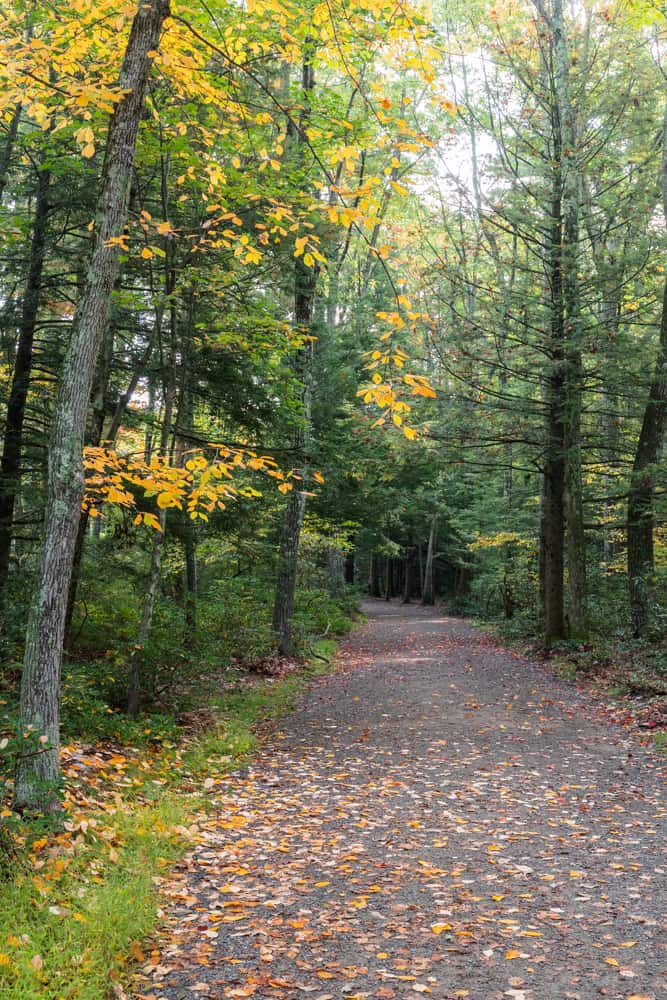 How to Get to Awosting Falls in Minnewaska State Park Preserve in ...