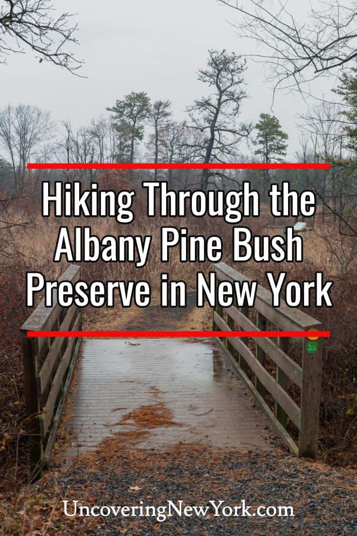 Hiking Through the Incredibly Unique Albany Pine Bush Preserve ...