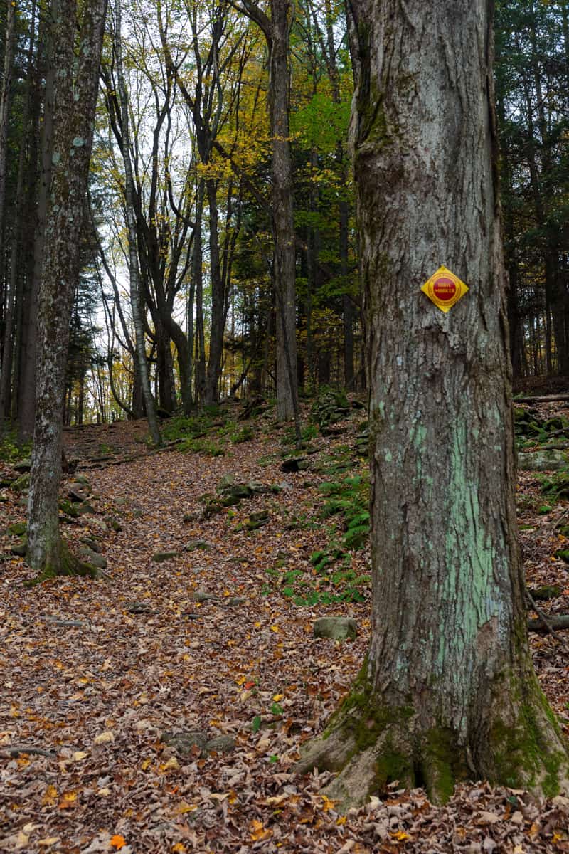 Hiking to Rensselaerville Falls in Huyck Preserve in Albany County ...