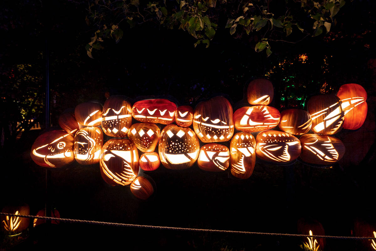Is It Worth Attending the Great Jack O'Lantern Blaze in the Hudson ...