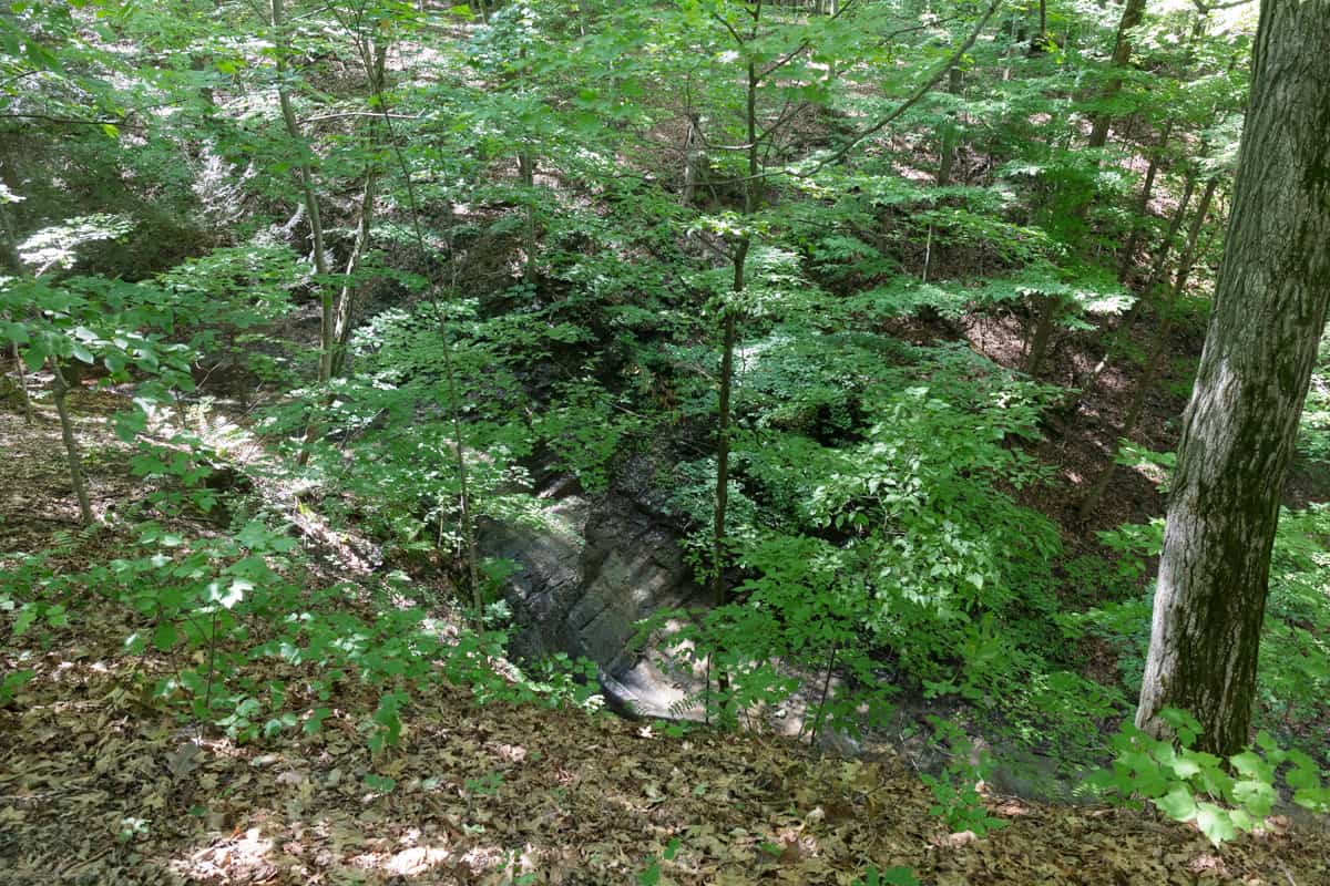 Hiking to the Six-Story Treehouse at the Cayuga Nature Center Near ...