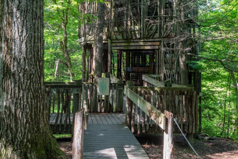 Hiking to the Six-Story Treehouse at the Cayuga Nature Center Near ...